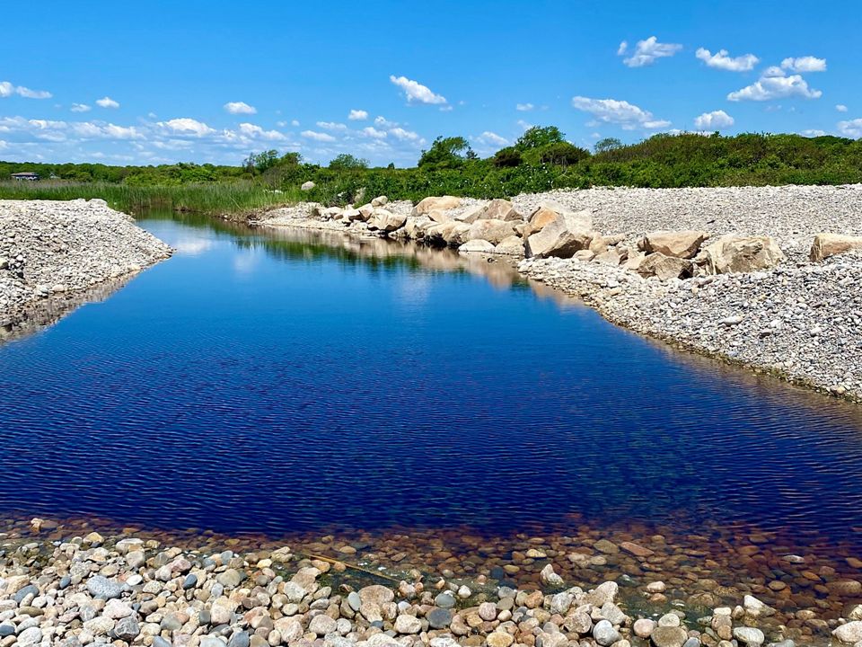 Goosewing Beach Preserve | The Nature Conservancy in Rhode Island