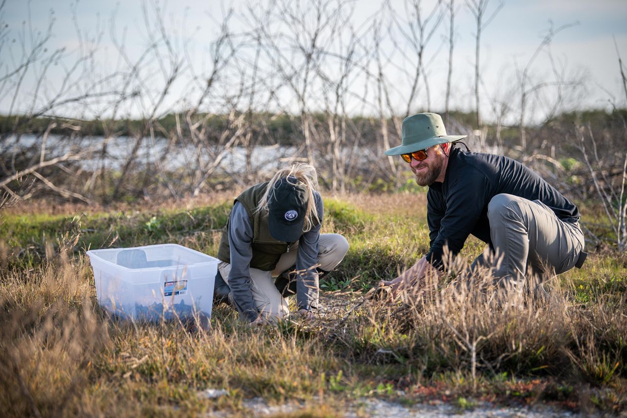 Shamrock Island Preserve | The Nature Conservancy