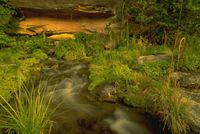 Dolan Falls Preserve | The Nature Conservancy