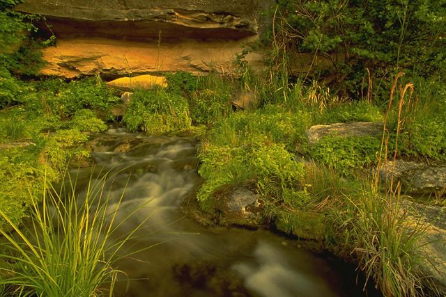 Dolan Falls Preserve | The Nature Conservancy