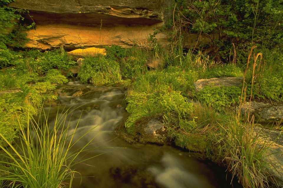 Dolan Falls Preserve | The Nature Conservancy