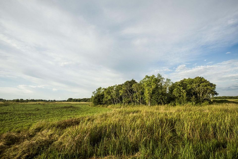 Nash Prairie Preserve | The Nature Conservancy