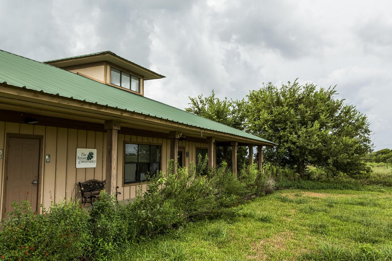 Texas City Prairie Preserve | The Nature Conservancy