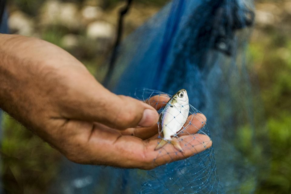 Texas City Prairie Preserve | The Nature Conservancy