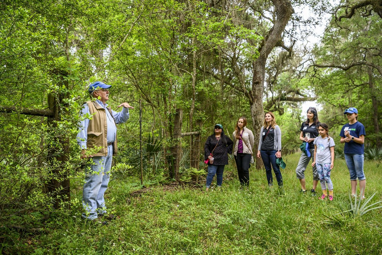 Brazos Woods Preserve | The Nature Conservancy