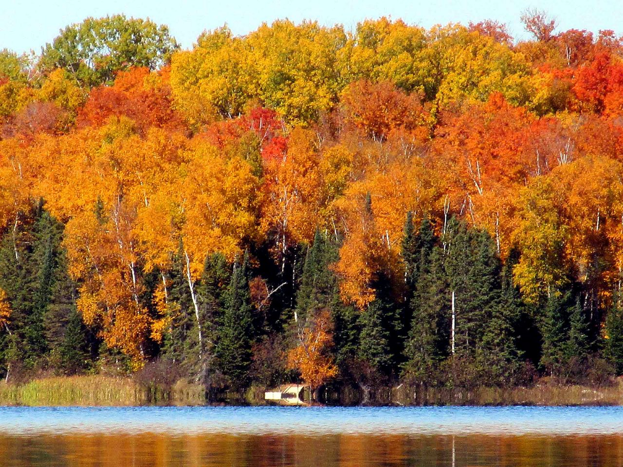 Tenderfoot Forest Reserve