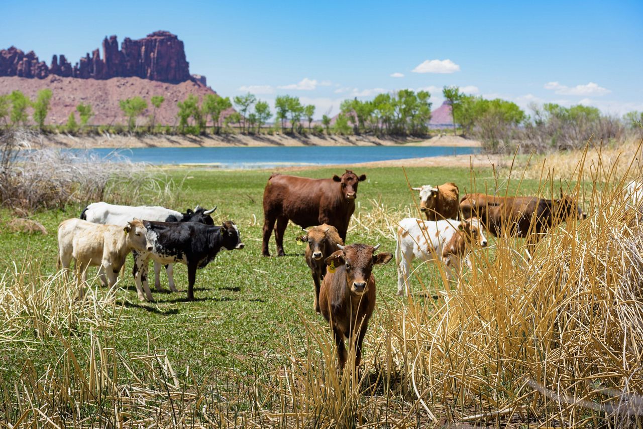 The Canyonlands Research Center | The Nature Conservancy in Utah