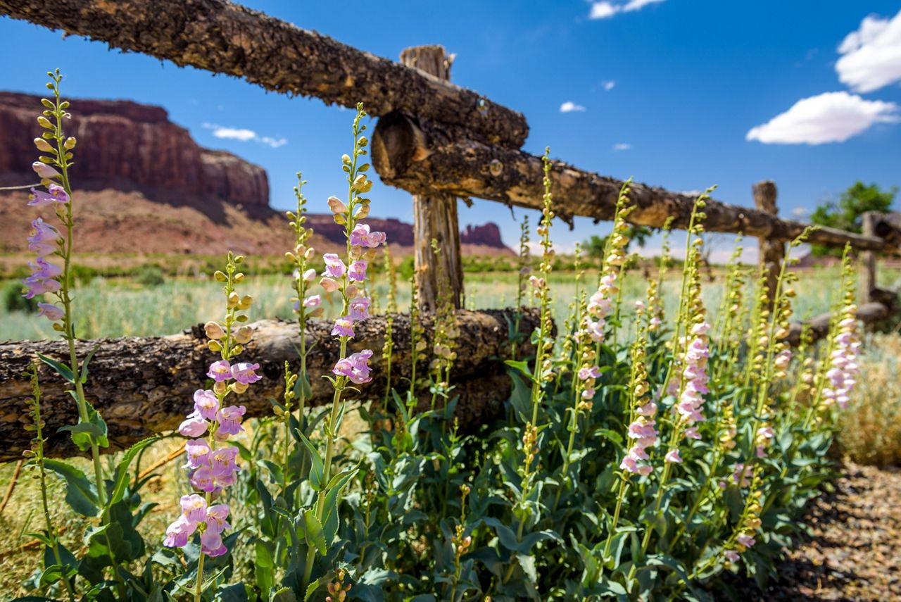 The Canyonlands Research Center | The Nature Conservancy in Utah
