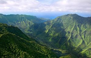 The Nature Conservancy in Hawai’i