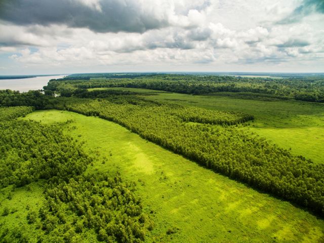 The Nature Conservancy in Kentucky | TNC