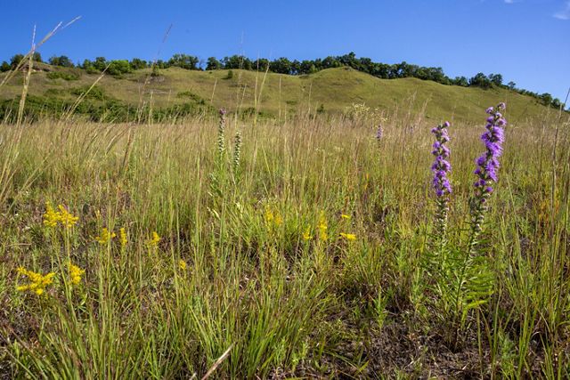Spring Green Preserve | The Nature Conservancy in Wisconsin