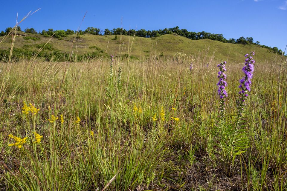 Spring Green Preserve | The Nature Conservancy in Wisconsin