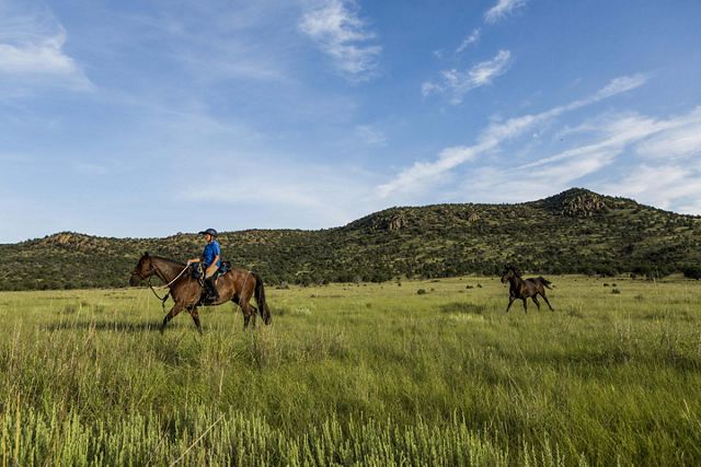 Davis Mountains Preserve | The Nature Conservancy