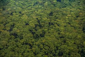 The Nature Conservancy: A World Where People & Nature Thrive