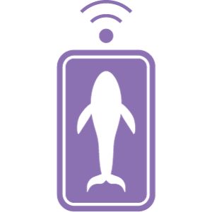 Whale Conservation | The Nature Conservancy in California