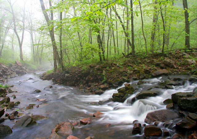 The Nature Conservancy in Wisconsin