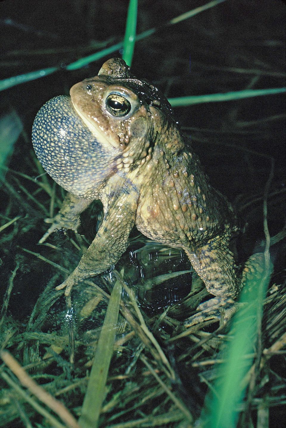 Wisconsin's Nature Is a Must-See in All Seasons | TNC