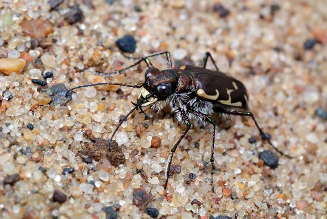 Wisconsin's Nature Is a Must-See in All Seasons | TNC