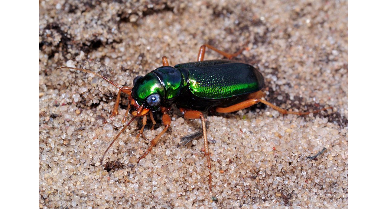 Wisconsin's Nature Is a Must-See in All Seasons | TNC