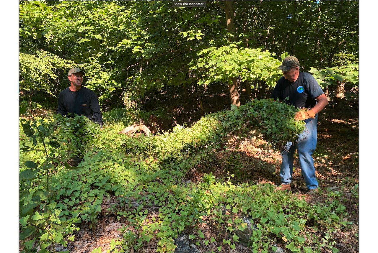 How We Steward and Restore Lands Across Pennsylvania