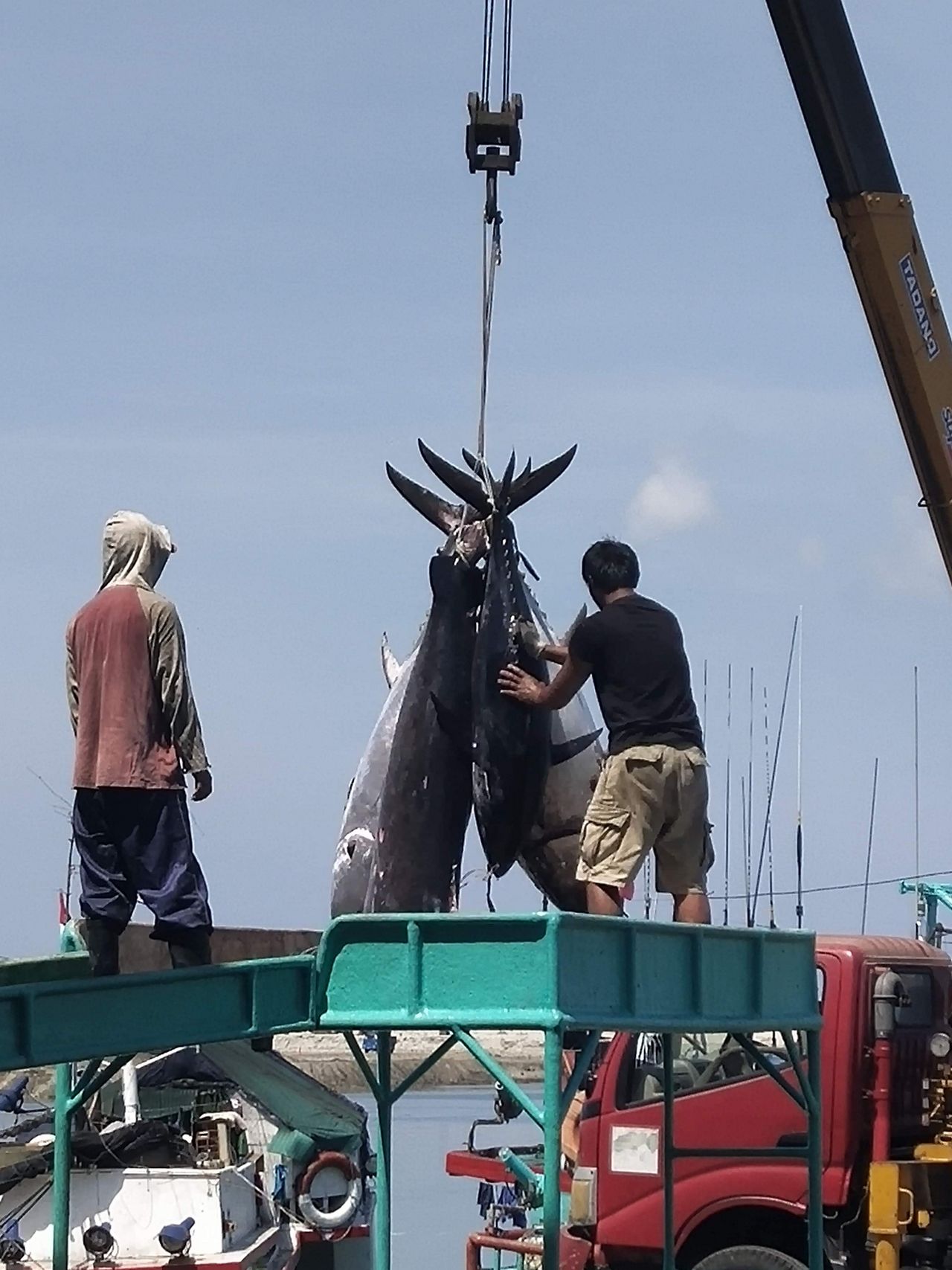 FishFace Technology Solution for Indonesia Sustainable Fisheries