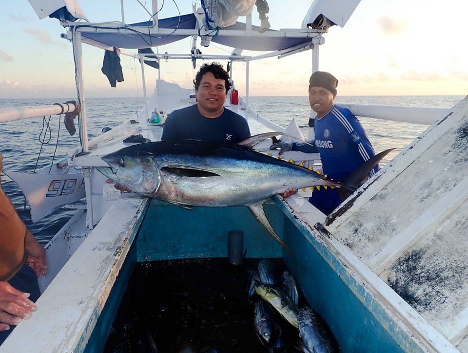 Strategi Pemanfaatan Tuna