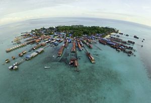 Pengelolaan Berkelanjutan di Kawasan Konservasi Laut Derawan